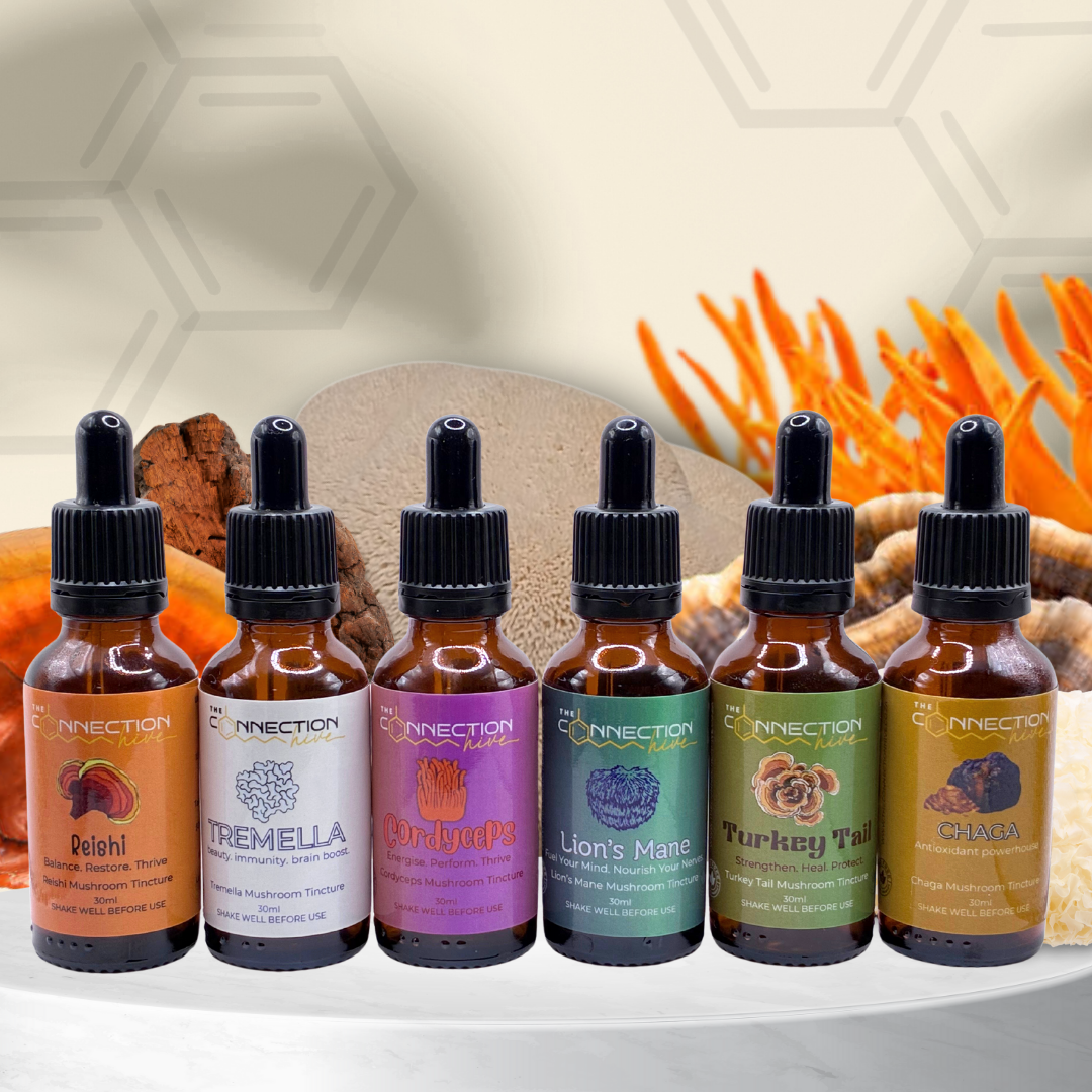 Medicinal Mushroom 30ml – The Connection Hive